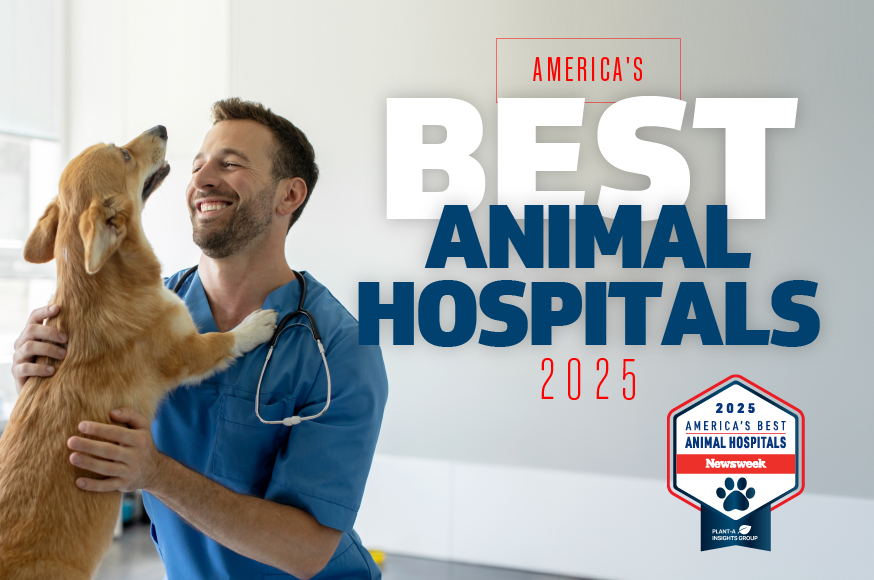 America's Best Animal Hospitals 2025