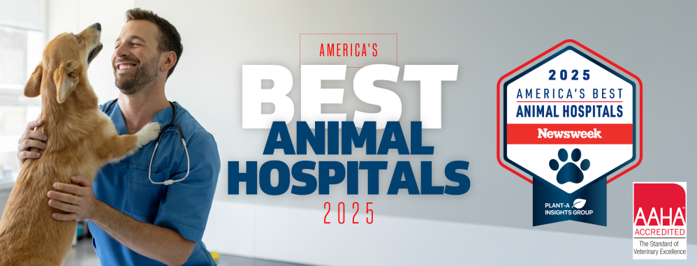 America's Best Animal Hospitals 2025