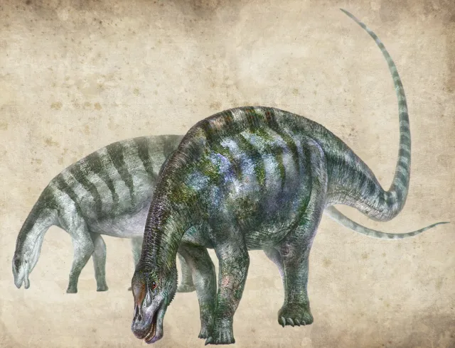 The ‘Amazing Dragon of Lingwu’: New 50-foot-long Dinosaur Species Found ...