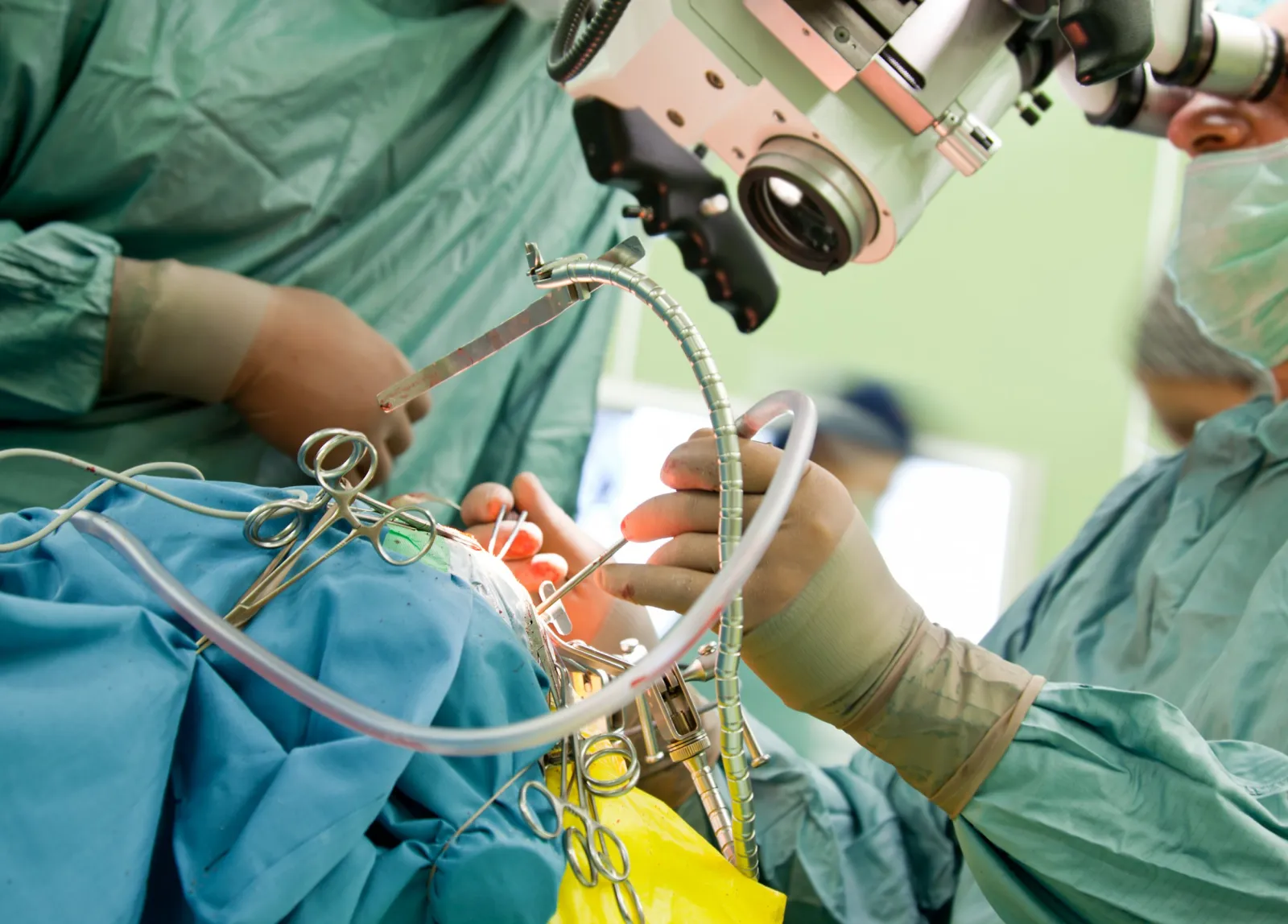 Lobectomy Study: Scientists Reveal Boy’s Incredible Recovery After ...