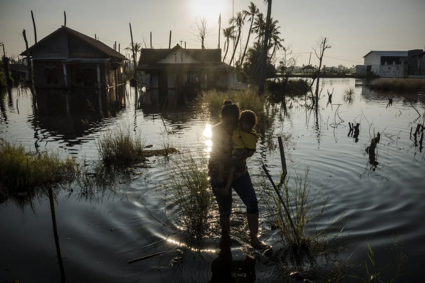 ‘Hothouse Earth’: Climate Domino Effect Could Lead to Runaway Global ...