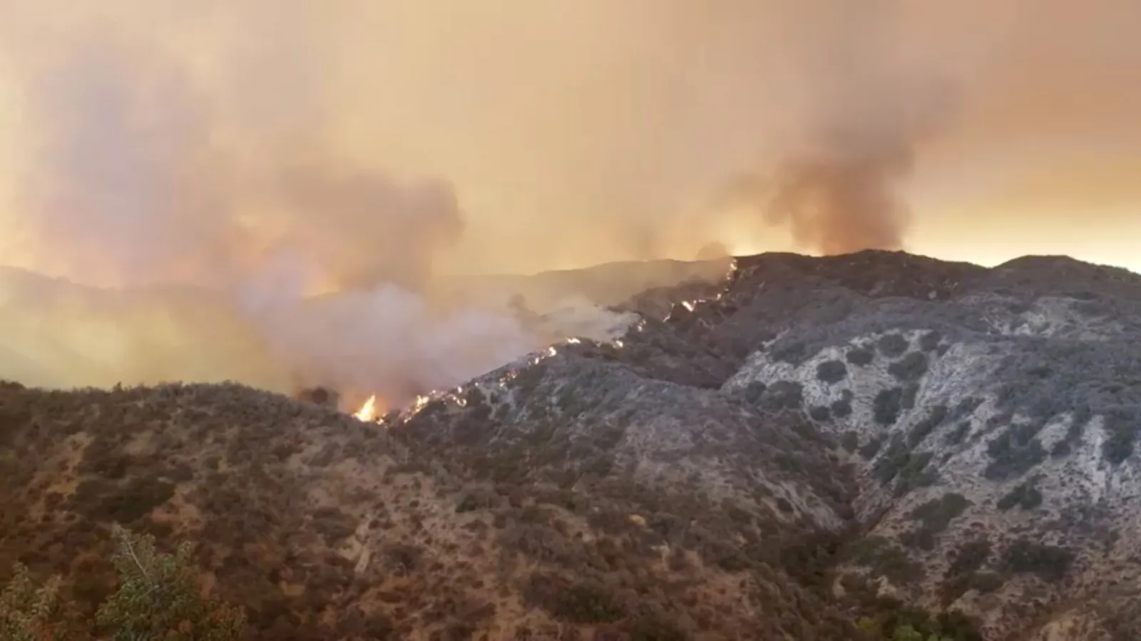 Holy Fire Update, Map: Cleveland National Forest Wildfire Grows to ...