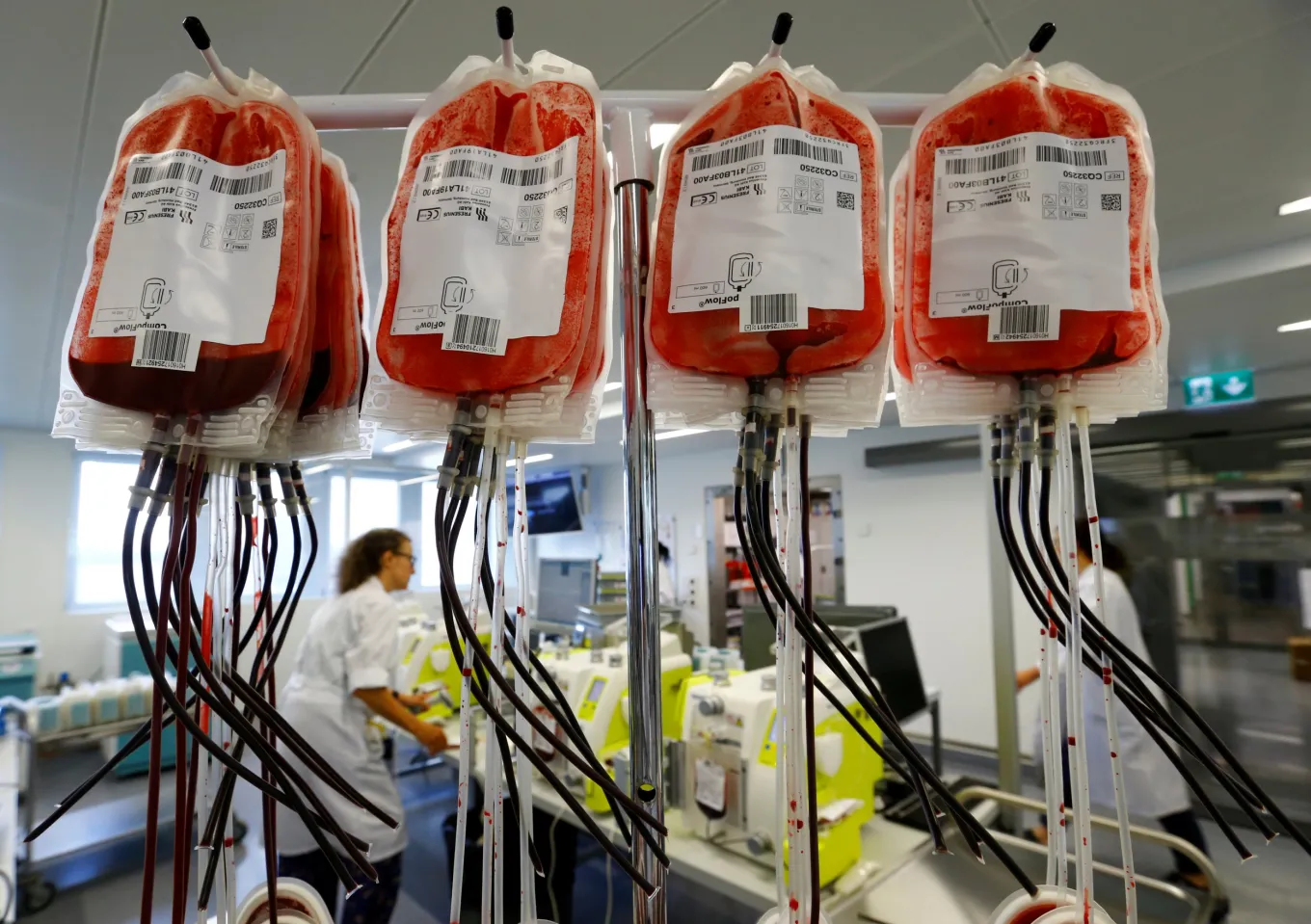 Can Scientists Turn Type A Blood Into Universal Type O? - Newsweek