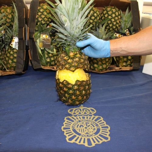 Authorities Find Nearly 150 Pounds of Cocaine Hidden Inside Hollow ...