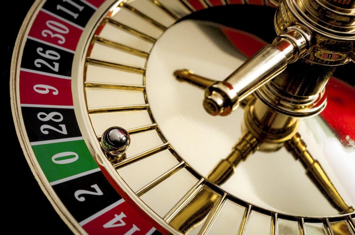 Gambling Monkeys Reveal a Brain Area Responsible for High Risk Behavior ...