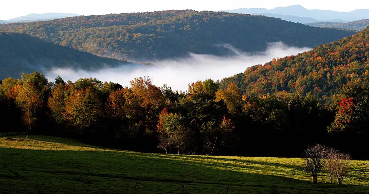 First Day of Fall, Autumn Equinox Quotes for the Season - Newsweek