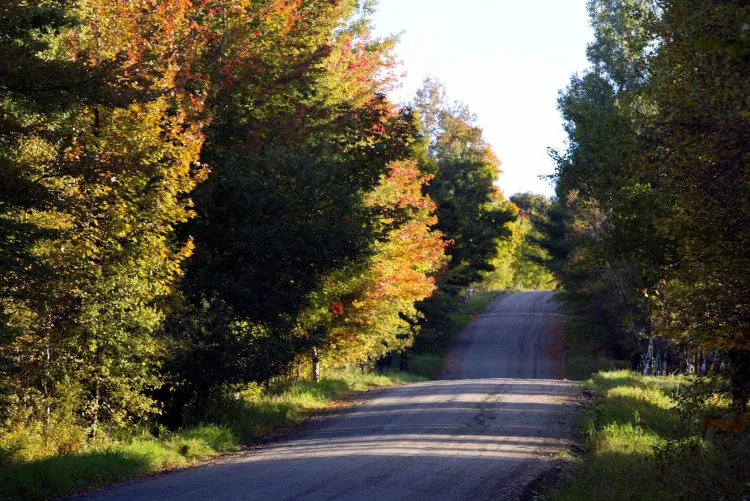 First Day of Fall, Autumn Equinox Quotes for the Season - Newsweek