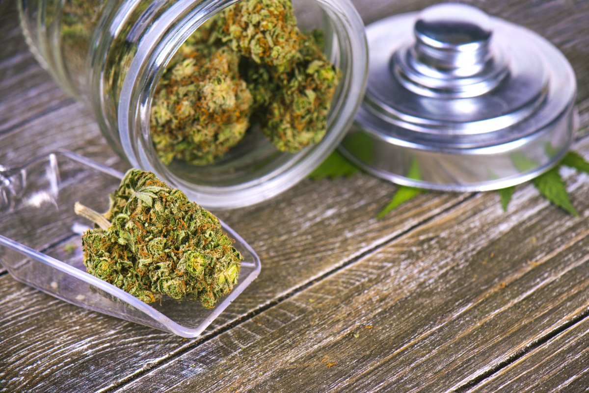 LAX Passengers Can Now Bring Weed on Flights - Newsweek