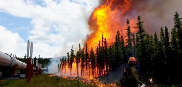 Climate Change Is Messing With Alaska in a Big Way | Opinion - Newsweek