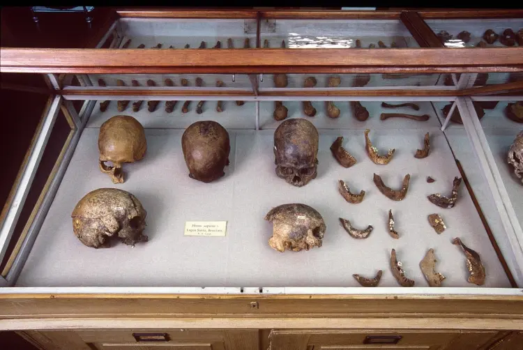 DNA of 10,000-Year-Old Spirit Cave Mummy Reveals Secrets of Native ...