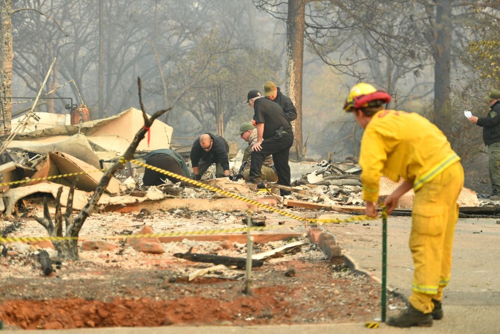 Firefighters, Climate Scientist, Slam Trump for ‘Shameful’ and ‘Ill ...
