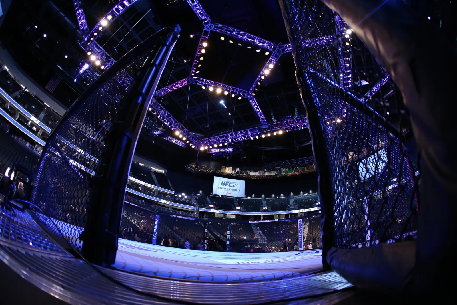 What Happened to Rachael Ostovich? UFC Fighter Was Reportedly Attacked ...
