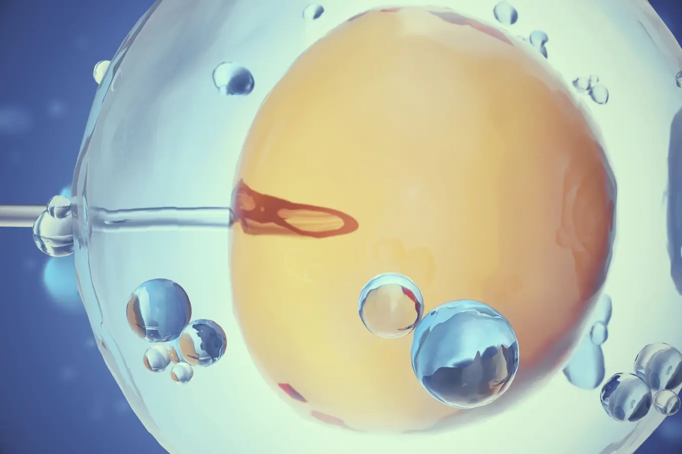 Gene-edited Babies: 5 Experts Condemn Chinese Scientist’s ‘Experiment ...