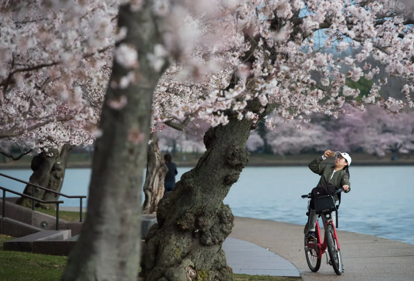 Spring, Vernal Equinox 2019: First Day of Spring, End of ... - Newsweek
