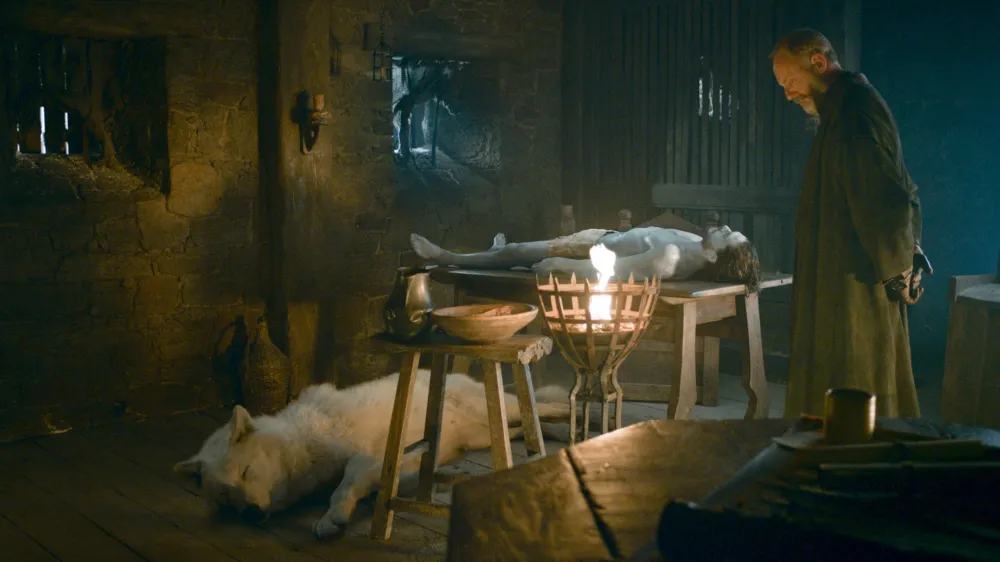 ‘Game of Thrones’ Direwolves: Where Are the Stark Pets and Which Are ...