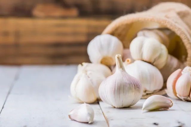 Garlic News & Latest Pictures From Newsweek.com