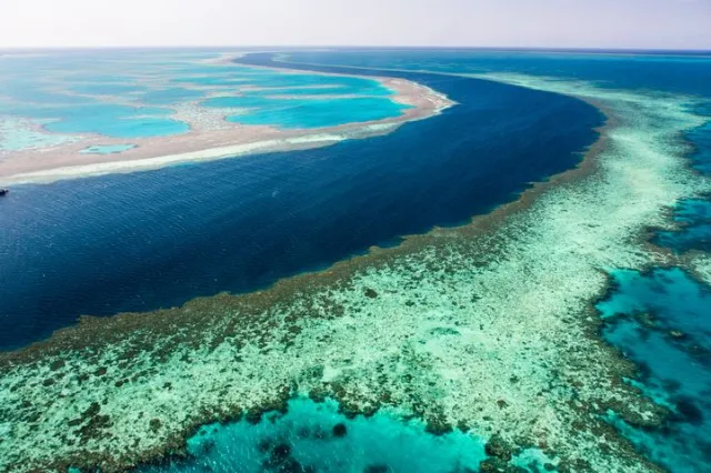 Tropical Reef Corals Are Moving Toward the Poles to Escape Climate ...