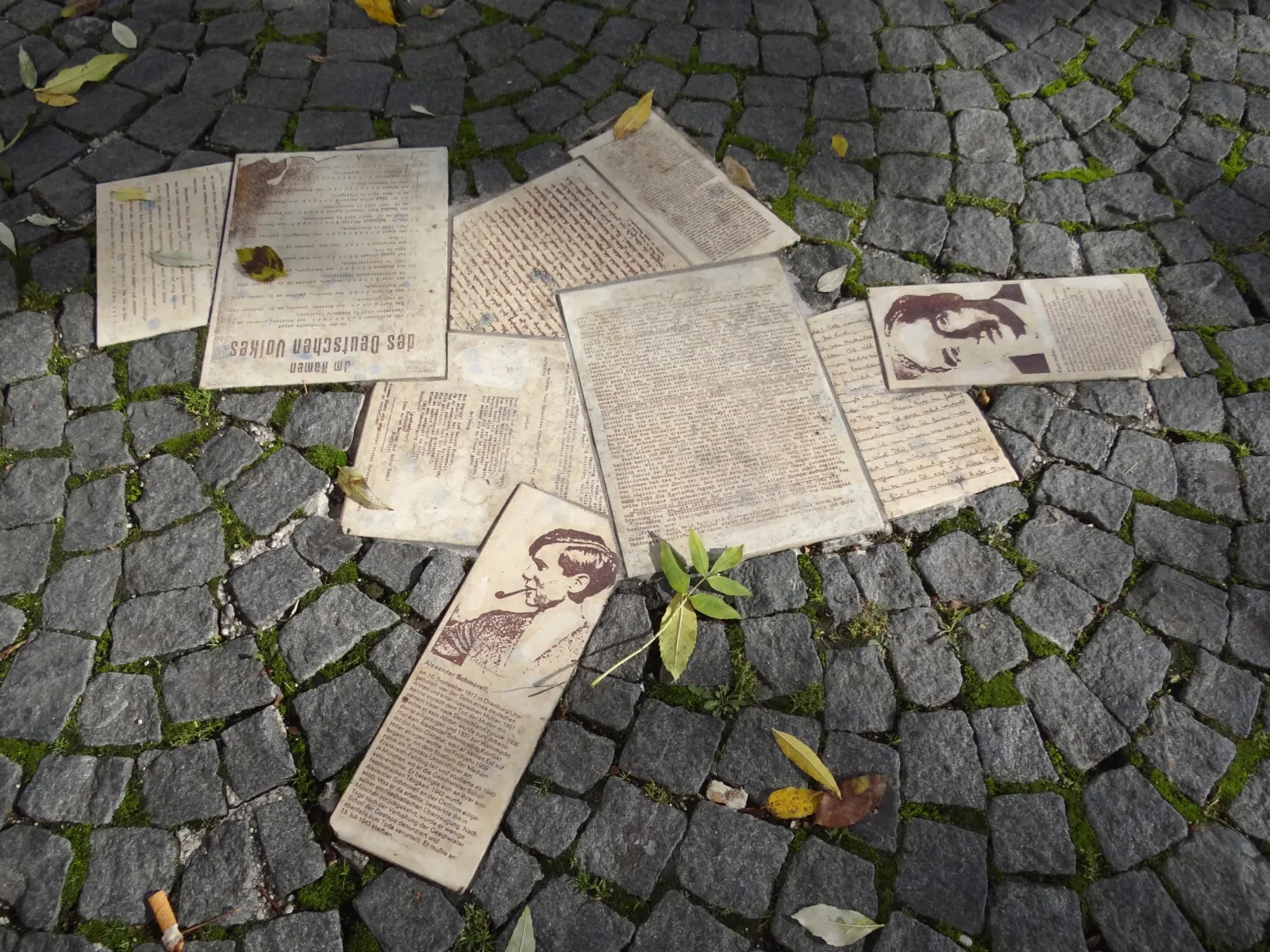 Traute Lafrenz Fought Nazi Propaganda During WWII, Germany Just ...