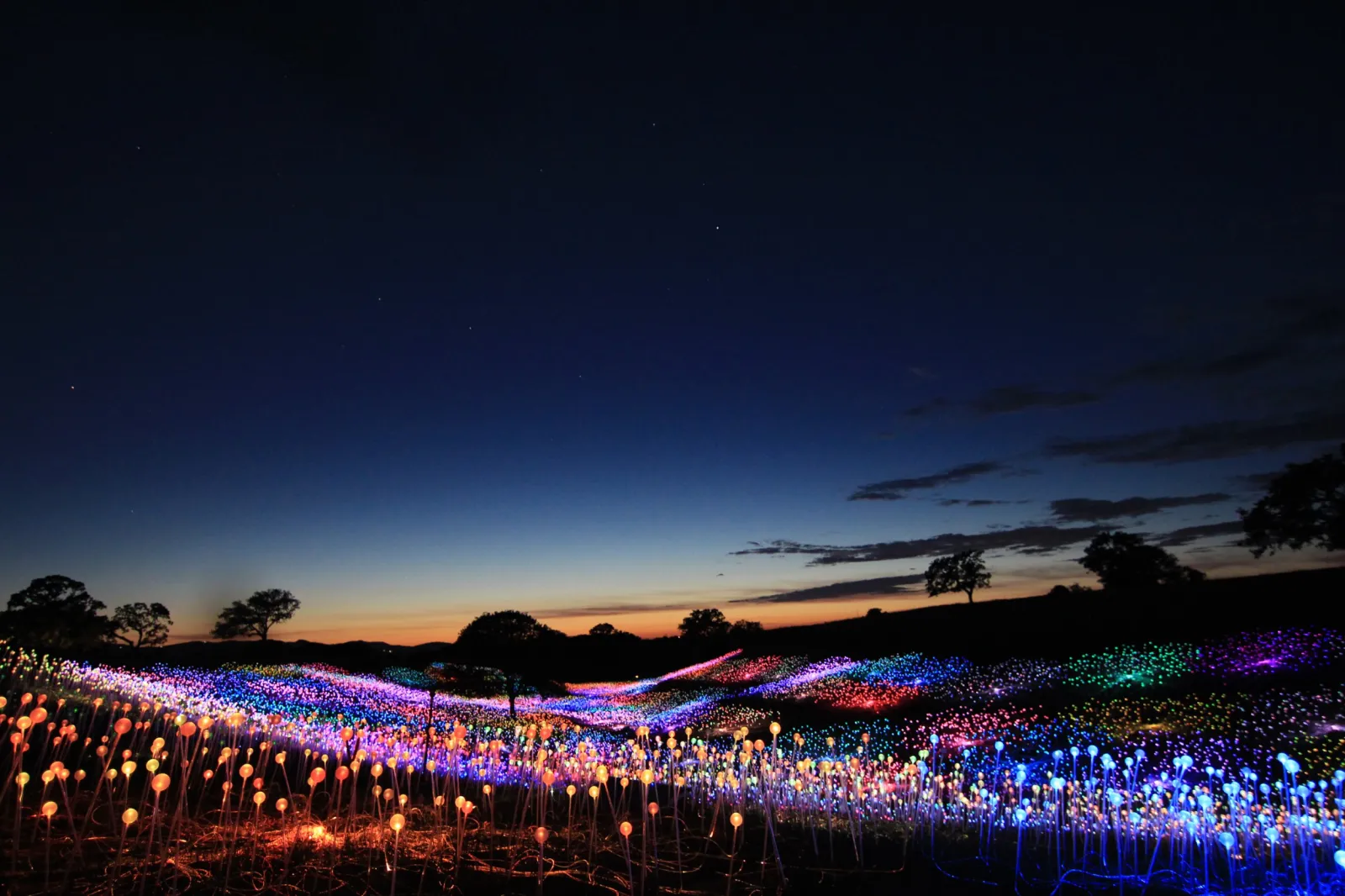 Installation Artist Bruce Munro Illuminates California Wine Country in ...