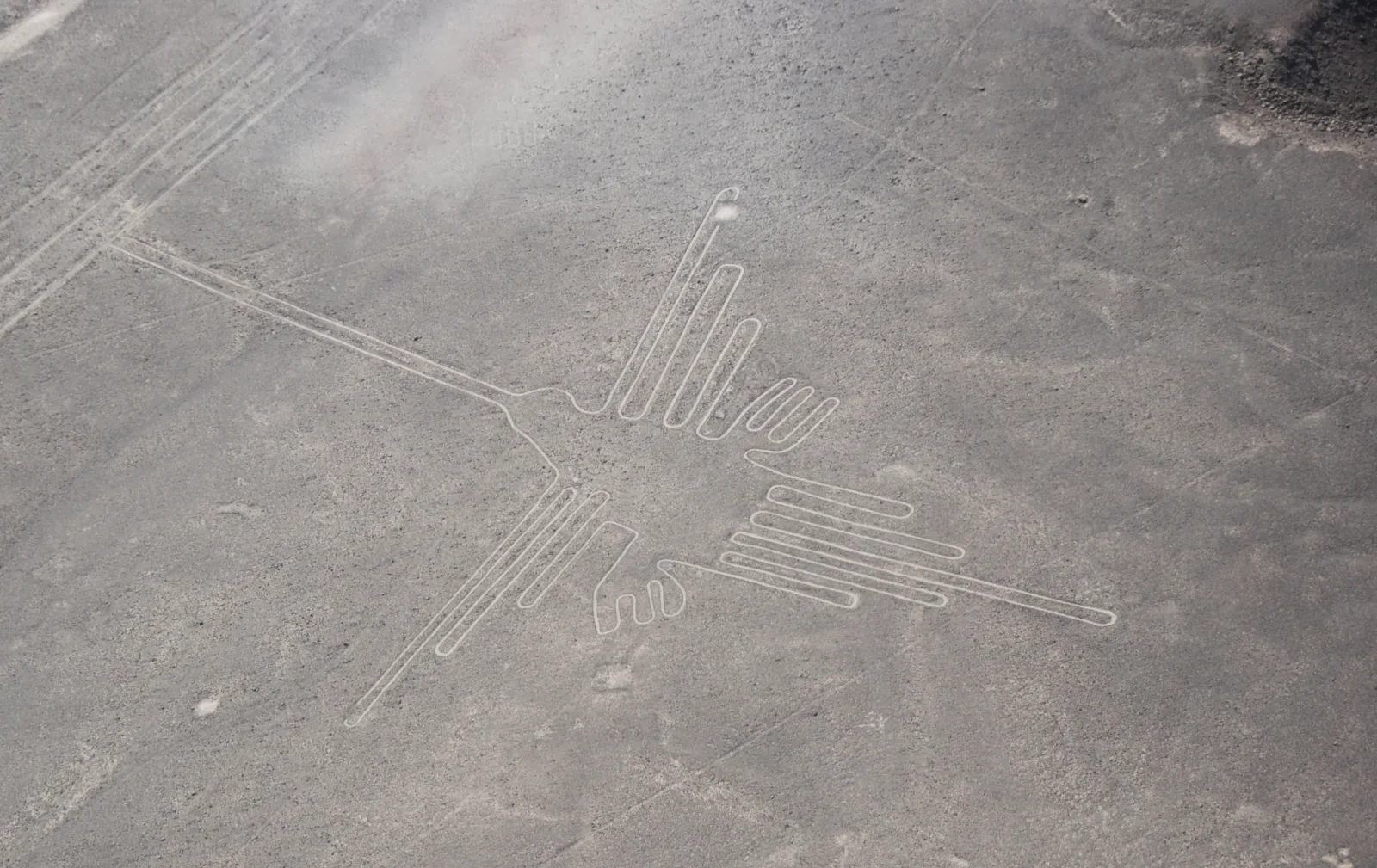 Peru’s Nazca Lines May Depict Exotic Birds From Far Away Regions ...