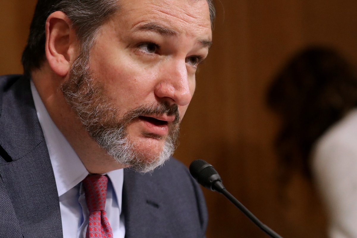 Ted Cruz Says Trump Could ‘Absolutely’ Lose 2020 Election, Predicts ...