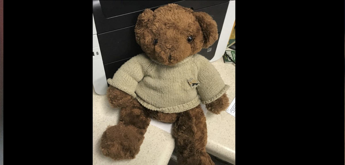 Mother Reunited with Teddy Bear Containing Her Baby’s Ashes - Newsweek