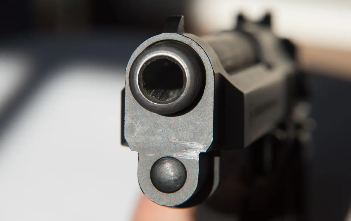 States with More Gun Owners Have More Murders in the Home, Women Most ...