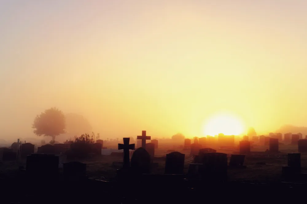 Americans Make #RIPReese Trend by Mourning Alleged Suicide of Man Who ...