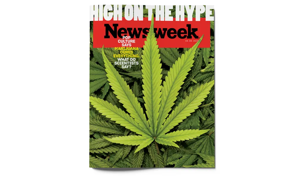 Pop Culture Says CBD Cures Everything—Here’s What Scientists Say - Newsweek