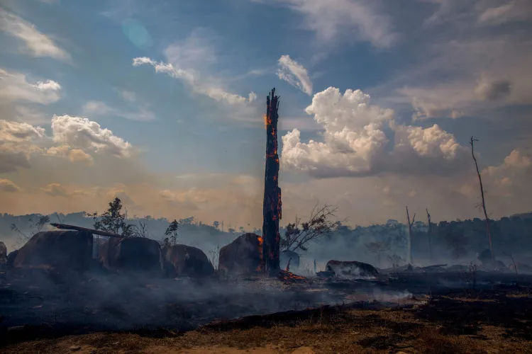 Amazon Fires Threaten ‘World’s Most Endangered Tribe’ As Campaigners ...