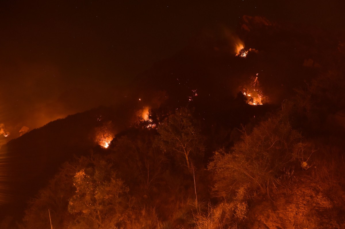 The Tenaja Fire Has Already Scorched 2,000 Acres in South... - Newsweek