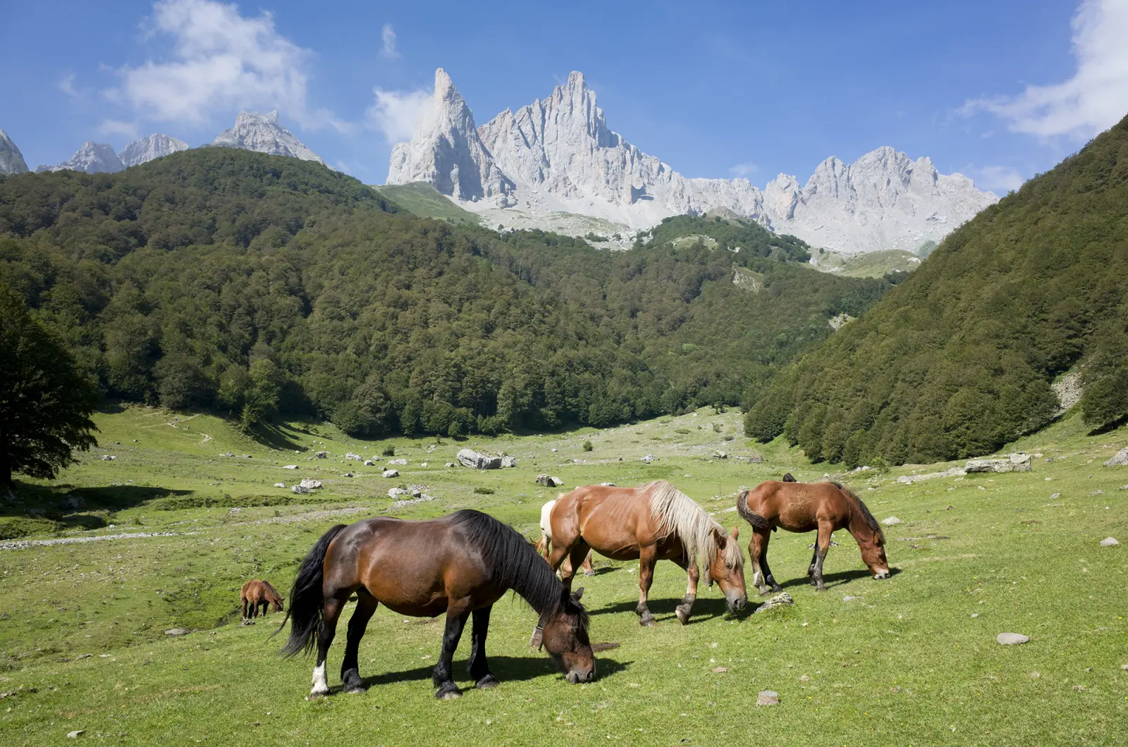 9 of the Most Stunning Hiking Trails in the World - Newsweek