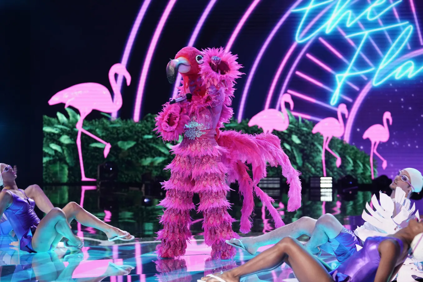 11 ‘Masked Singer’ Clues That Could Reveal Flamingo, Leopard, and ...