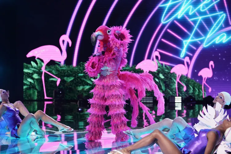 11 ‘Masked Singer’ Clues That Could Reveal Flamingo, Leopard, and ...