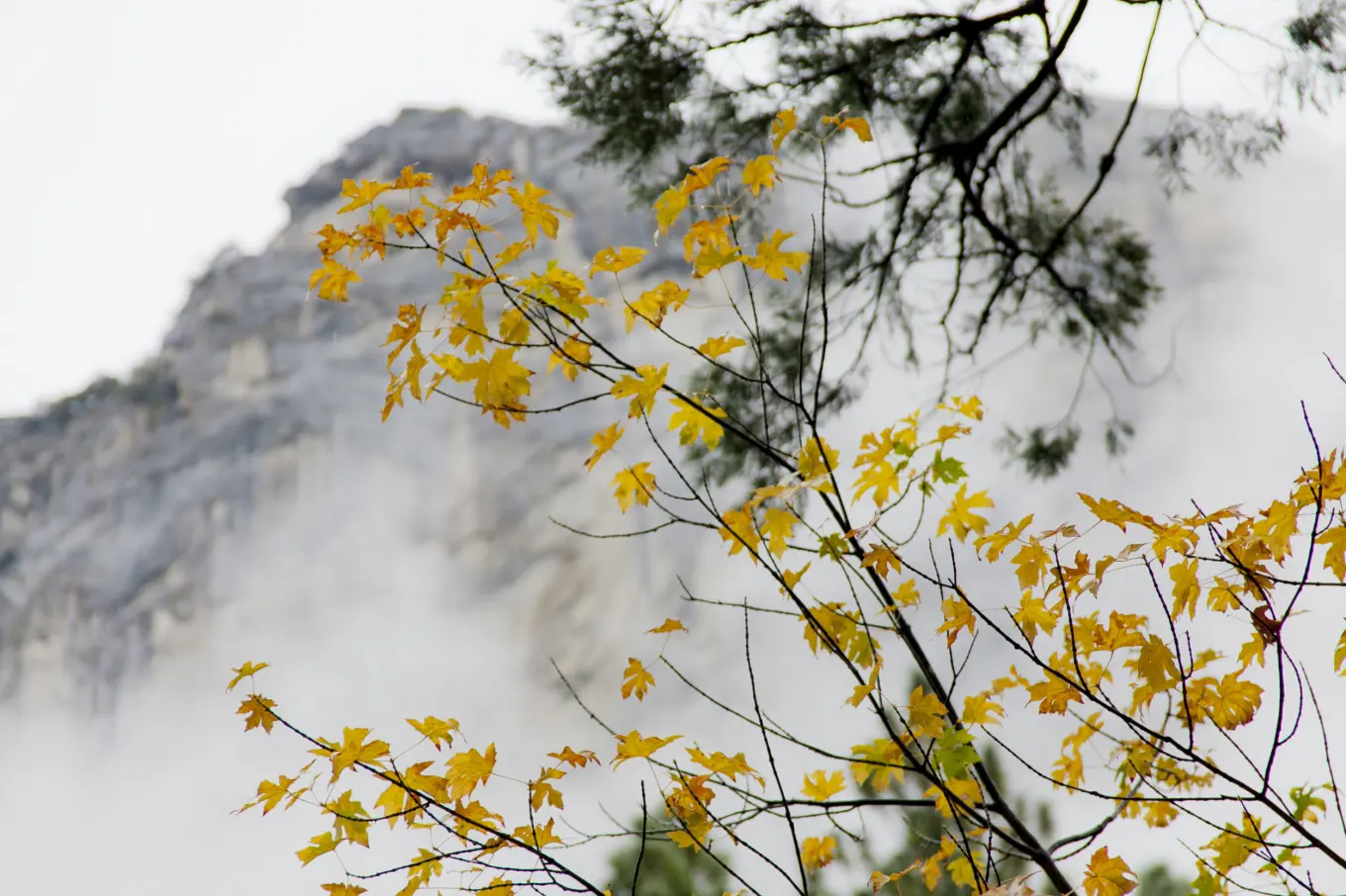 Fall Images, Quotes in Honor of the First Day of Autumn - Newsweek