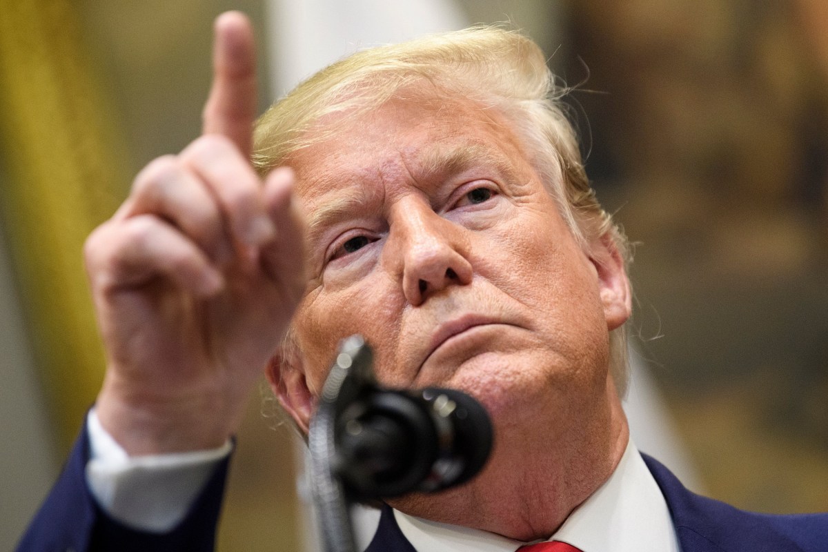 Harvard Psychologist Says Donald Trump’s Claims About Destroying Turkey ...