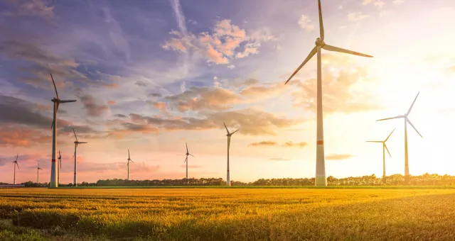 Alternative Energy News & Latest Pictures From Newsweek.com