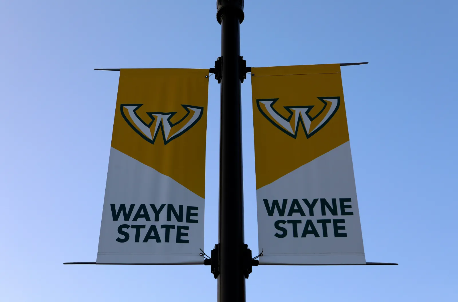 University in Detroit Offers Free Tuition to Every Teen in the City ...