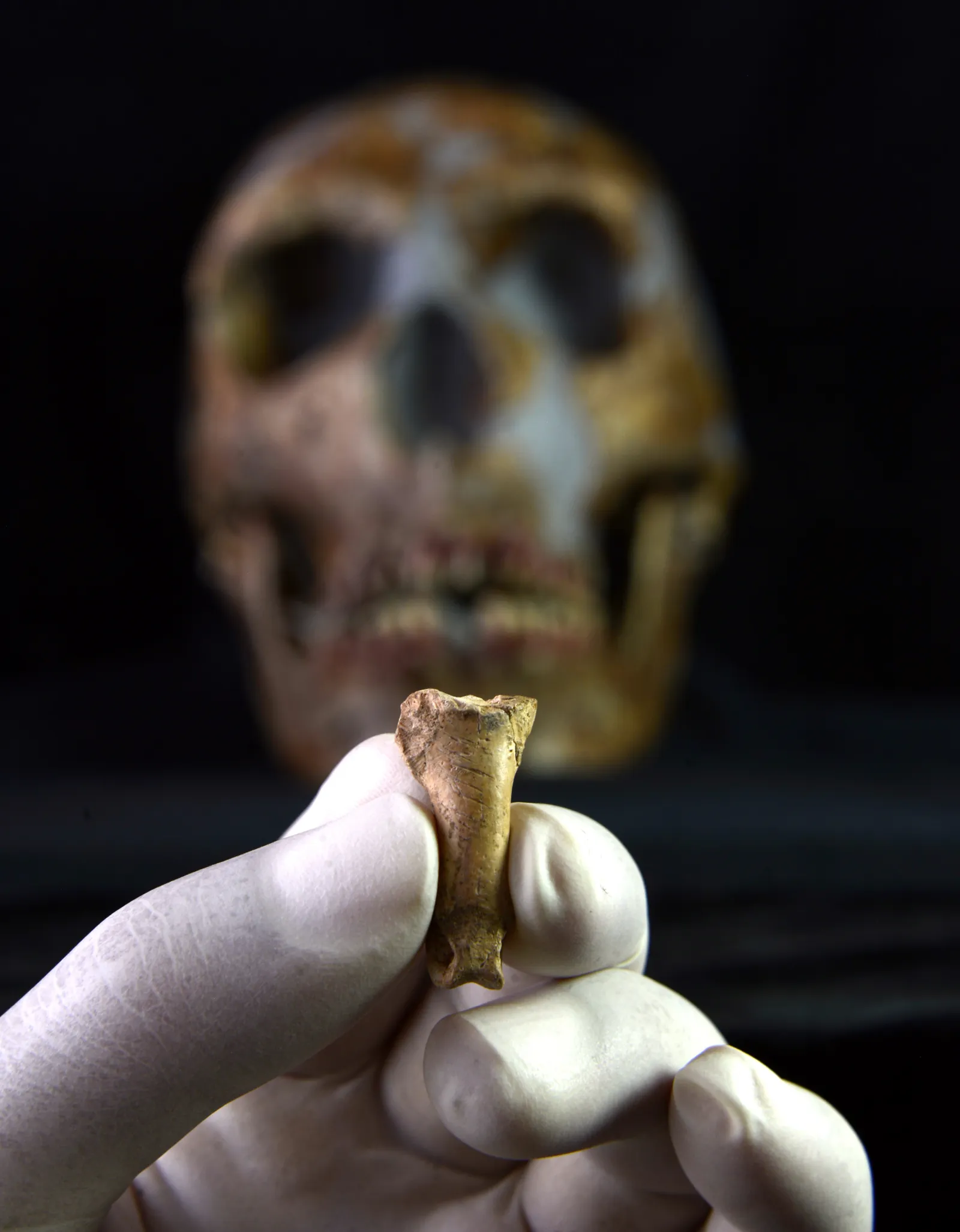 The ‘Last Necklace Made by the Neanderthals’ Discovered in Spanish Cave ...