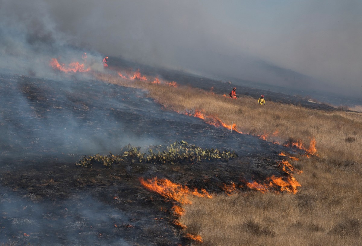 Easy Fire Map, Update as Firefighters Save Reagan Library in Simi ...