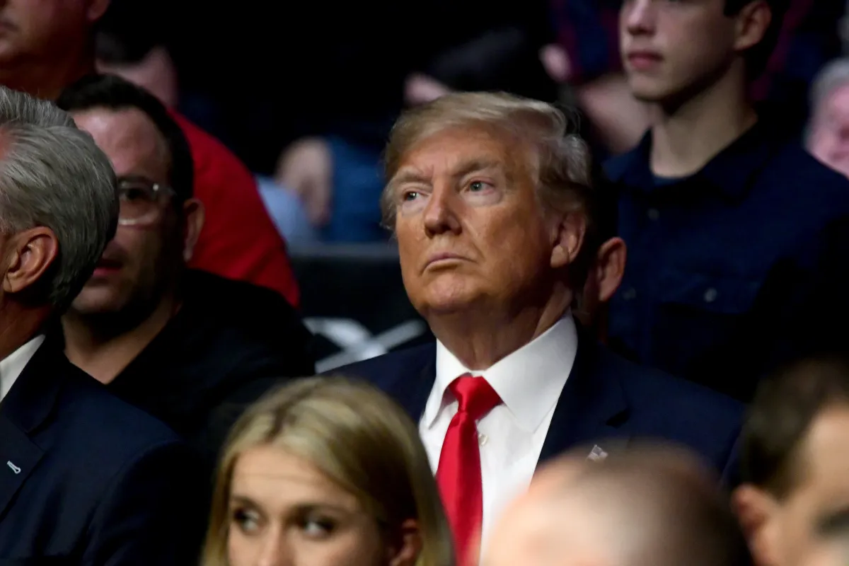 Trump Being Booed at UFC 244 Event a Surprise, Says Political Scientist ...