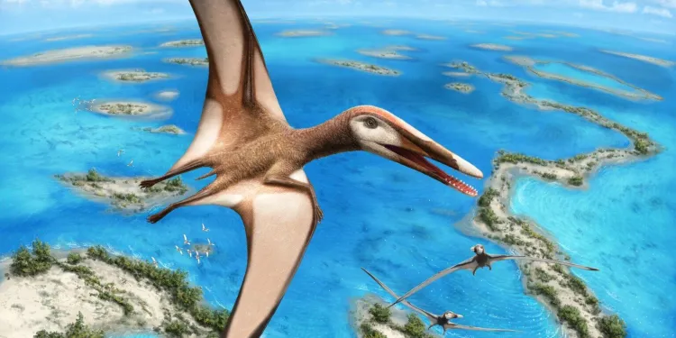 New Species of Pterosaur That Lived 95 Million Years Ago During the Age ...