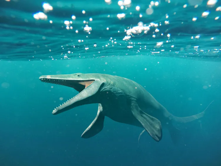 New Species of Ancient Whale Offers Clues on How Whales Evolved to Swim ...