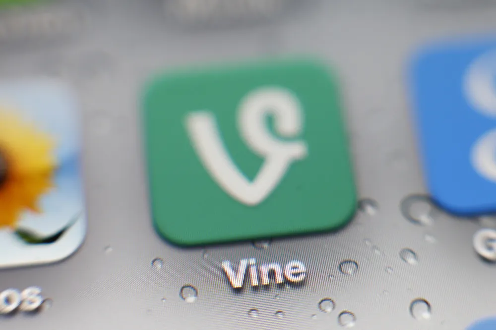 Twitter Users React As Vine Co-Creator Launches New App Byte: ‘Vine Is ...