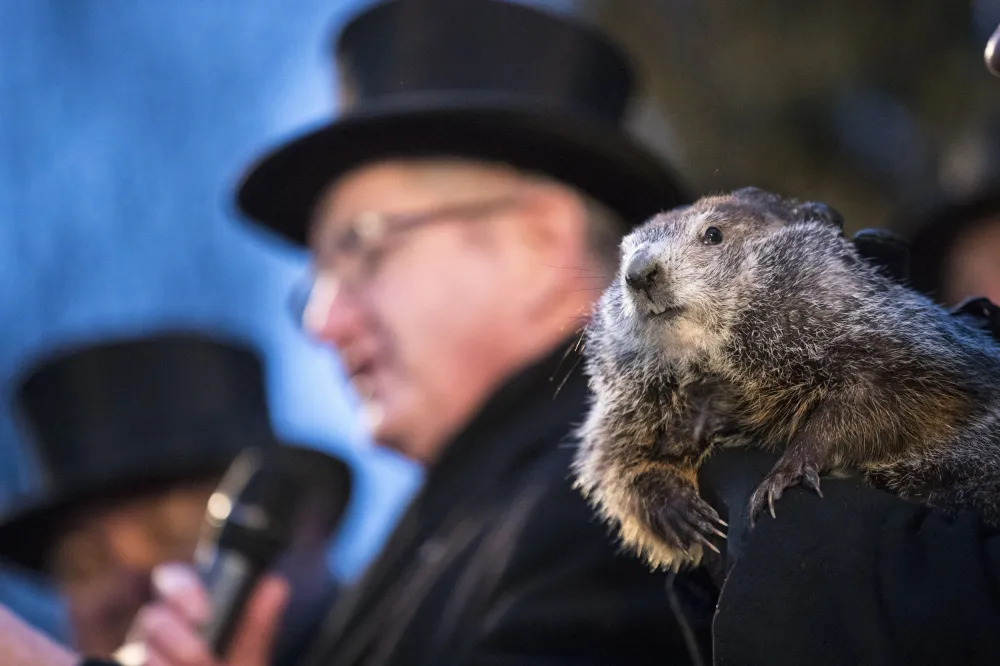 Groundhog Day News & Latest Pictures From Newsweek.com