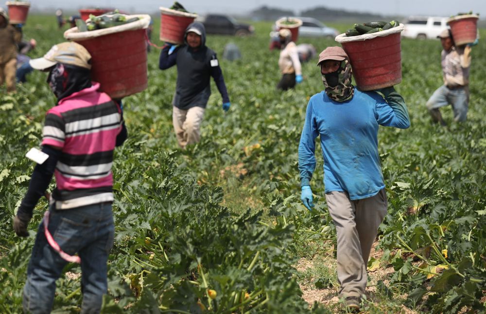 A List of Essential Workers That We Should Thank and Support During the ...