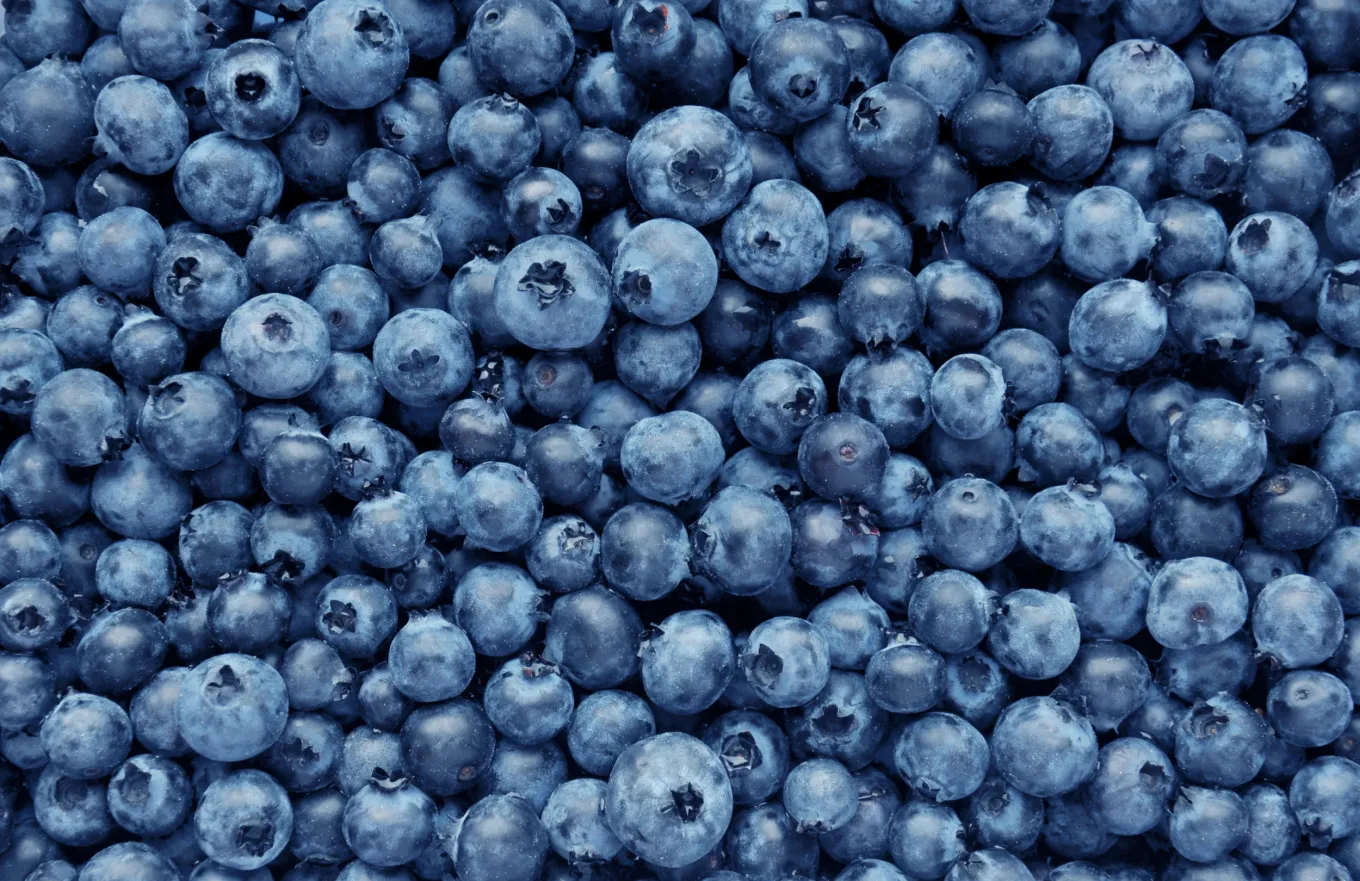 50 Dishes, 50 States: A Look at Each State’s ‘Official’ Food - Newsweek