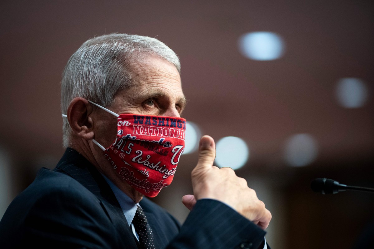 Dr. Fauci Set to Discuss COVID-19 Crisis After White House Smears—Watch ...