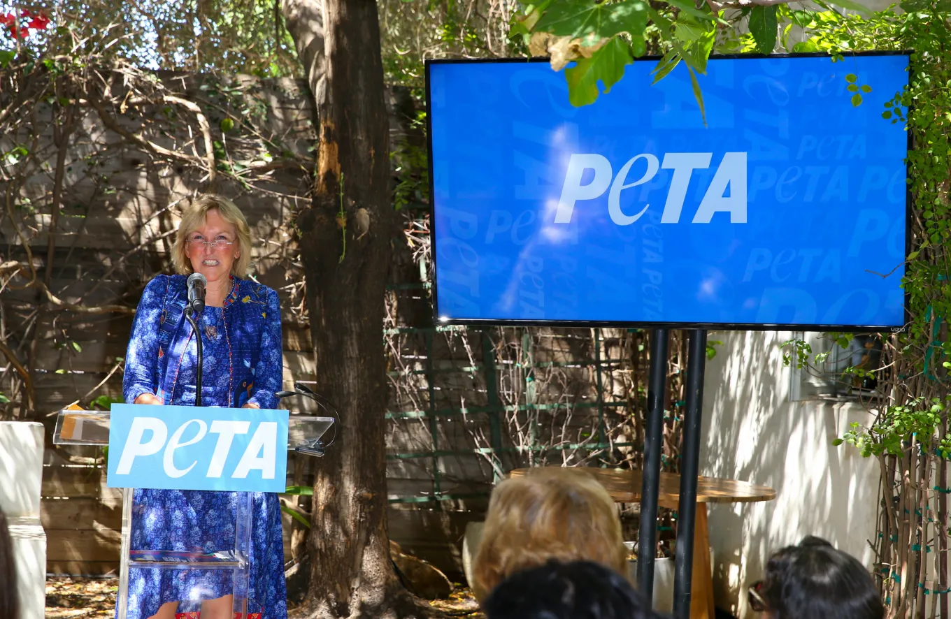 Fact Check: Is PETA Responsible for the Deaths of Thousands of Animals ...