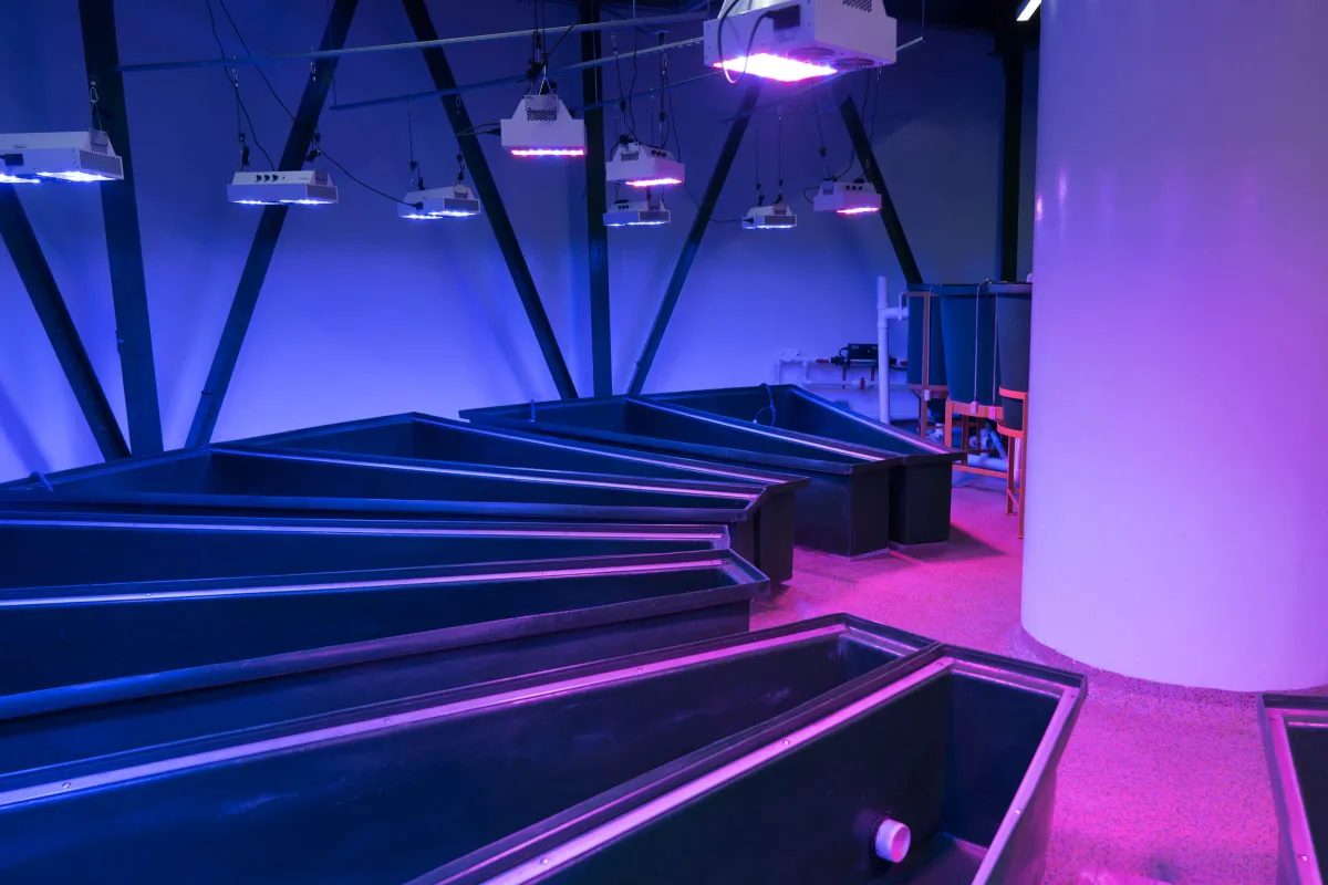 A Look Inside the Luxury Bunker Built by Doomsday Preppers for the ...